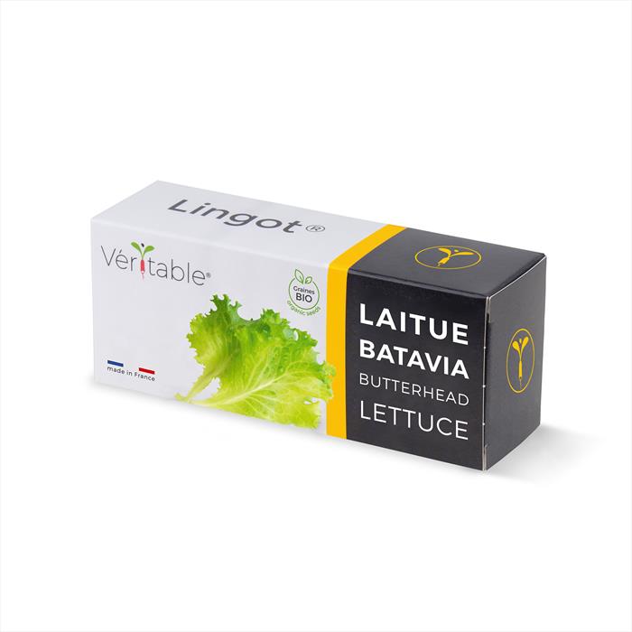 VERITABLE - Lingots - Lattuga Batavia | Euronics